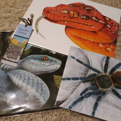 Blue Insularis LIMITED EDITION 11x14 Fine Art Print by Laura Airey Le ...