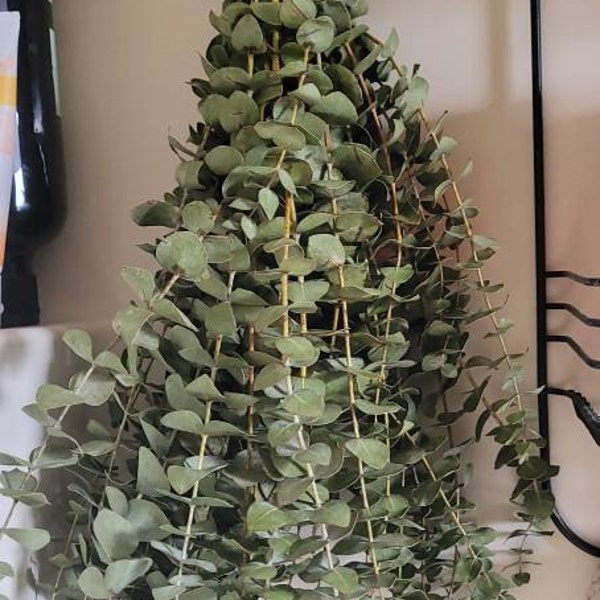 Fresh Eucalyptus Shower Bundle, Eucalyptus Shower Bundle, Indoor ...