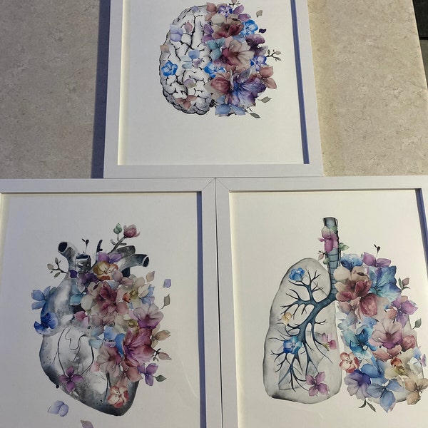 Human Brain Heart Lungs Set of 3 Watercolor Prints Anatomy Wall Art ...