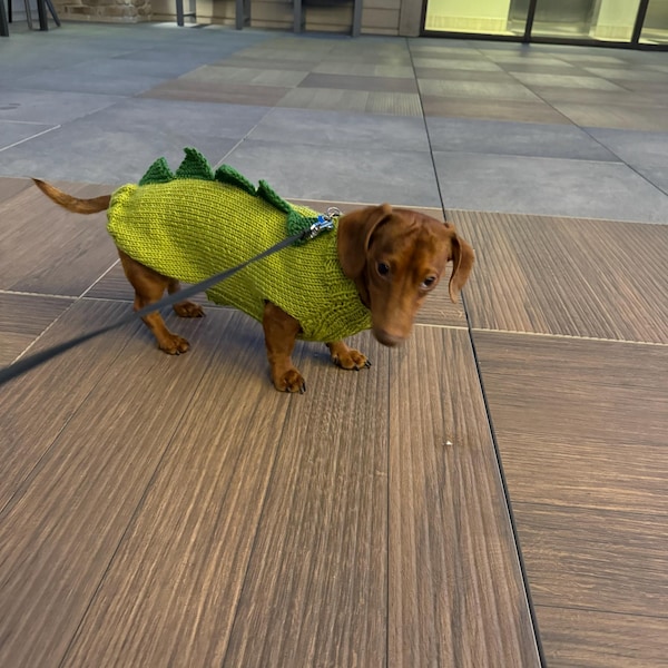 Pet Frog Costume Halloween Costume Frog Sweater and Hat Dachshund Frog ...
