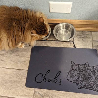 Personalized Dog Mats Using Pet Photo Name Personalized Dog Food Mat ...