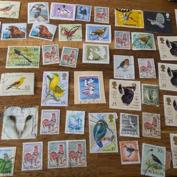 Scarce Antique 1858 Book - the Common Objects of the Country by Rev J.G ...