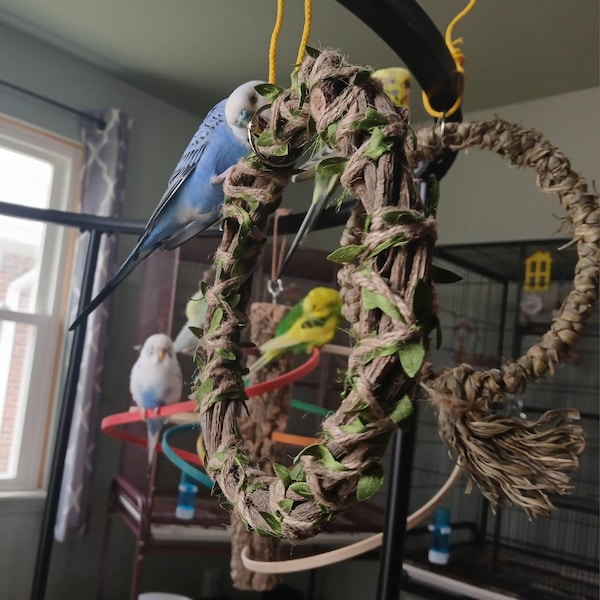 Natural Bird Swing, Parrot Hanging Swing, 3 Ring Parrot Orbit Swing ...