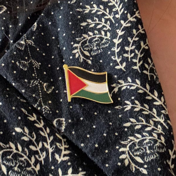 Palestine Pin Badge Palestine Fundraiser Gaza Badge Palestine Enamel ...