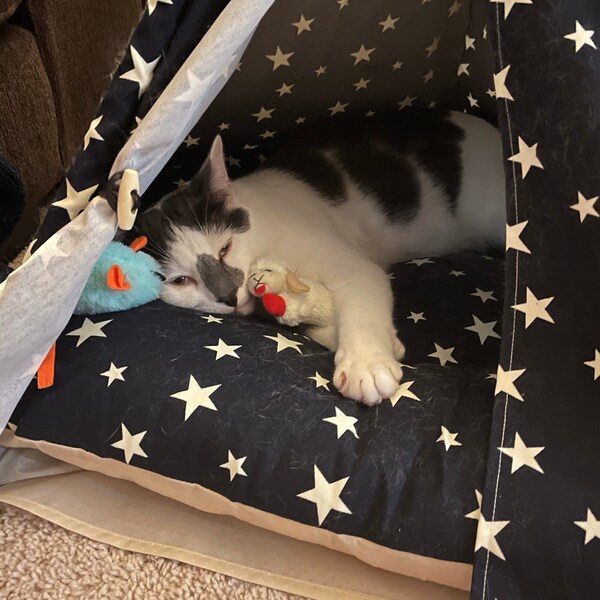 Baby Boho Teepee Teepee Tent for Kids, Kids Playtent Teepee Tent Set ...