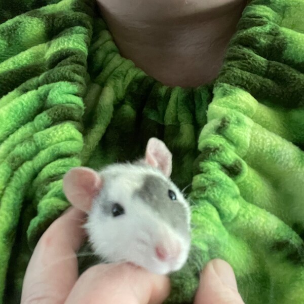 Ratoob, Dark Gray - Etsy