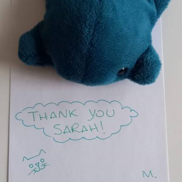 Sky Blue Baby Blue Baby Bean Frog. Baby Bean Froggy Friend. Stress ...