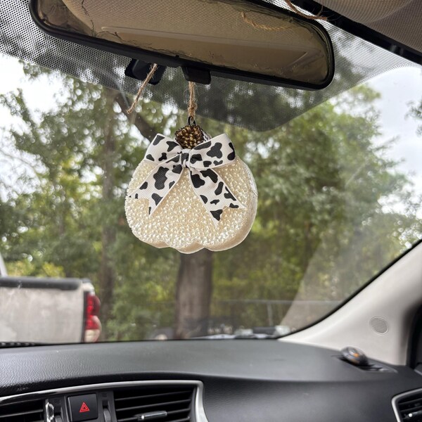 Chicken Freshie, Car Freshie, Freshy, Freshies, Freshener - Etsy