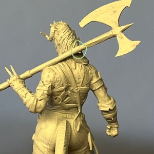 Female Elf / Drow Gladiator / Rogue 3d Printed Model by 3dartguy - Etsy UK