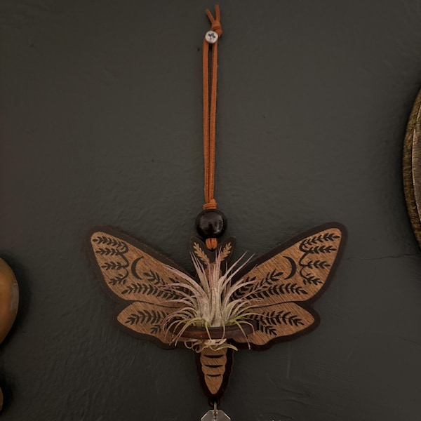 Celestial Moth Hanging Airplant Holder Ornament Wall Hanger Stars Moon ...
