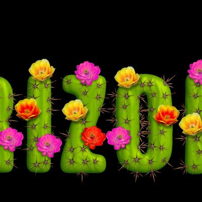 Cactus PNG Letters, Transparent Background, Cactus Alphabet Clip Art ...