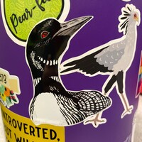 Good Catch Sticker Fishing Decal Waterproof Sticker Midwest Sticker ...