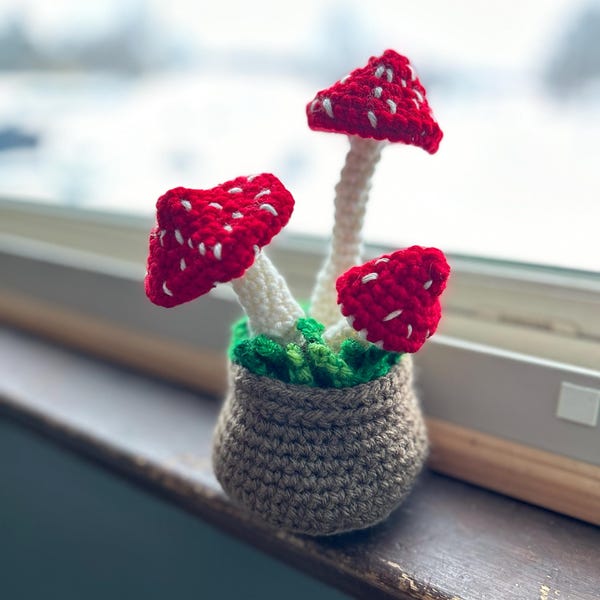 PATTERN: Crochet Mini House Plant Collection, Crochet Plant Pattern ...