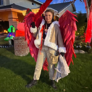 Black Wings and Tail, Bird Wings for Arms, Crow Costume, Black Bird ...