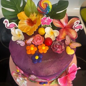 Baby Cake Topper/palm/dried Palm Topper/pampas/cake Pick/oh Baby/girl ...