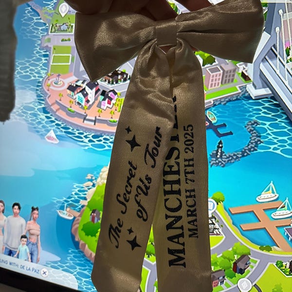 GRACIE ABRAMS *bow Design* Inspired Tour Bow FASTSHIPPING Bff Birthday ...