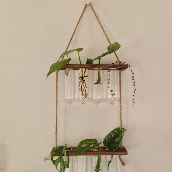 Plant Propagation Station | Grow Plants Starter Station | Gifts for Him ...