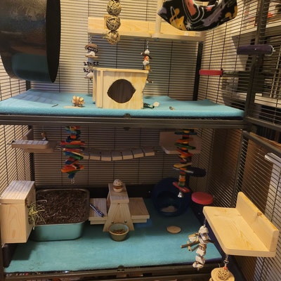 Original Full Sets of Cage Guards / Cage Poop Guards SAFEST & MOST ...