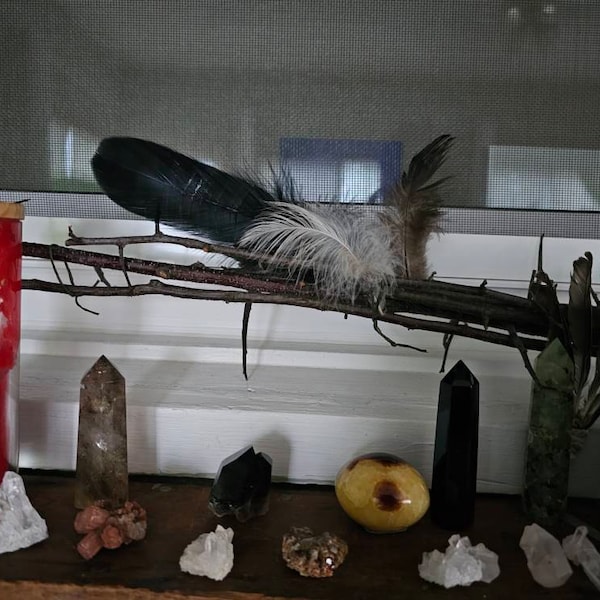 7 Blackthorn Wood, Sloe Blackthorn Stick Bundle - Etsy