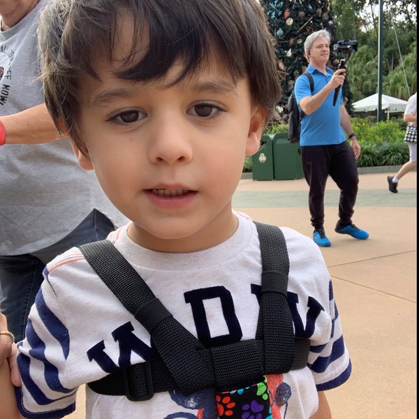 Child Safety Harness With Adjustable Leash, Back Buckles, Paw Print ...