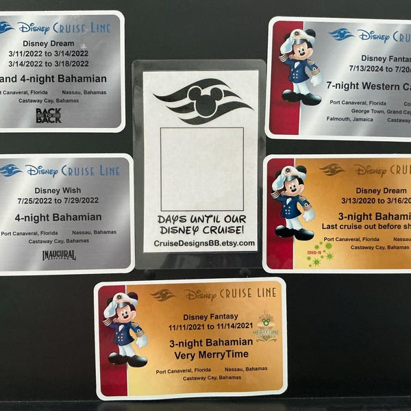 Disney Cruise Line Key to the World Concierge/silver Anniversary/dvc ...