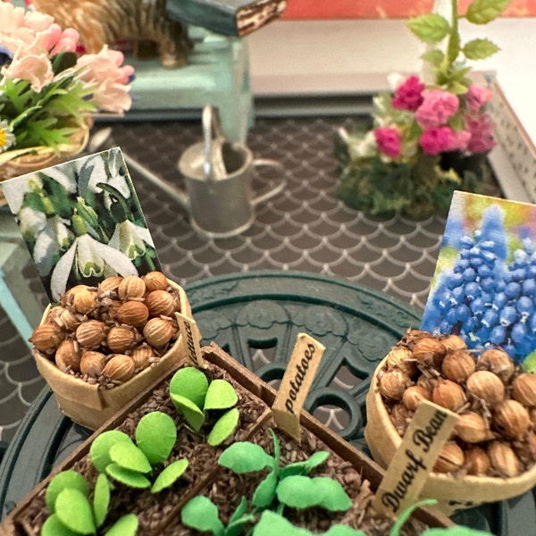 Miniature Open Flower Bulbs Bag 1:12 Scale Dolls House Garden Shed Pot ...