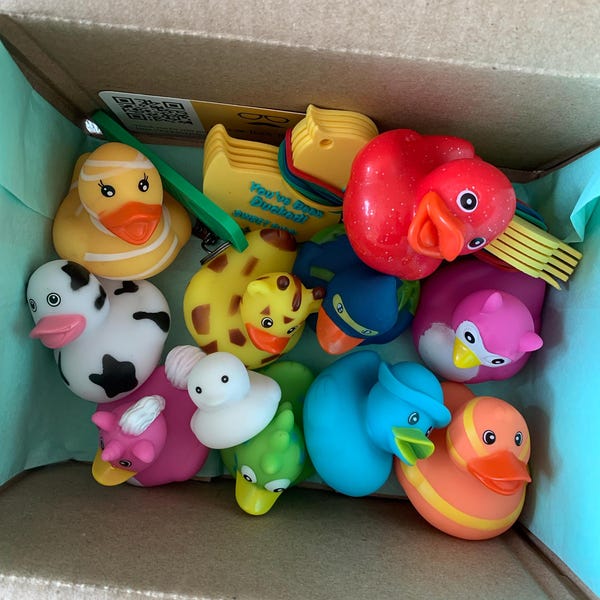 CREATE YOUR OWN Duck Kit for Your Jeep or Collection, Personalized Duck ...