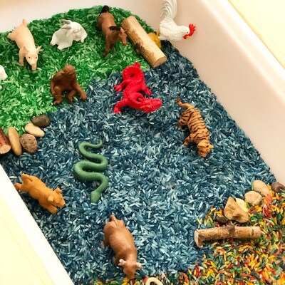 Backyard Birds Safari Toob Montessori 3-part Cards - Etsy