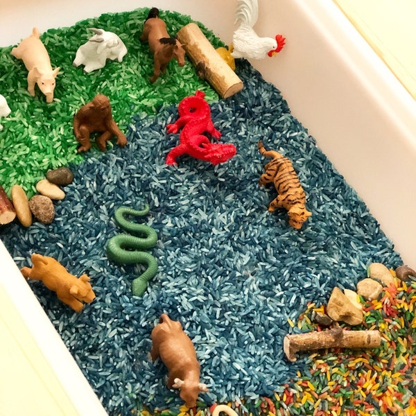 Montessori Colors Sorting Activity--primary and Secondary Colors--color ...