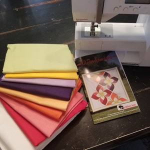 Modern Quilt Kit Using Windswept Pattern. Kit Contains Fabrics for the ...