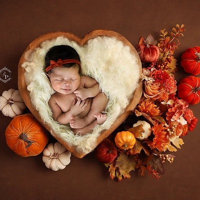 FALL NEWBORN Digital Backdrop, Newborn Composite, Newborn Photography ...