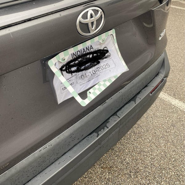 Green Palm Tree License Plate, Cute Car Accessory, Coastal License ...