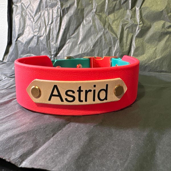 Biothane Name Plate Add on | Customizable Name Tag | Add to Any Sun and ...