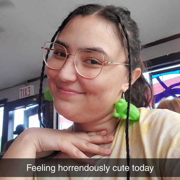 Rainbow Monkey Chain Earrings No More Monkeying Around Monkies in a ...