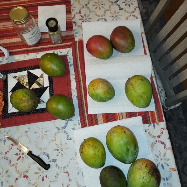 The Pinkglow® Pink Pineapple Gift Box - Etsy