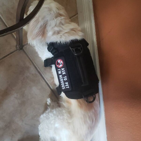 Nervous Dog Patch | Ask to Pet Patch | Dog Vest Patches | Custom Dog ...