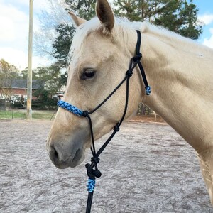 Custom Rope Halter With Matching 10' Lead Rope - Etsy