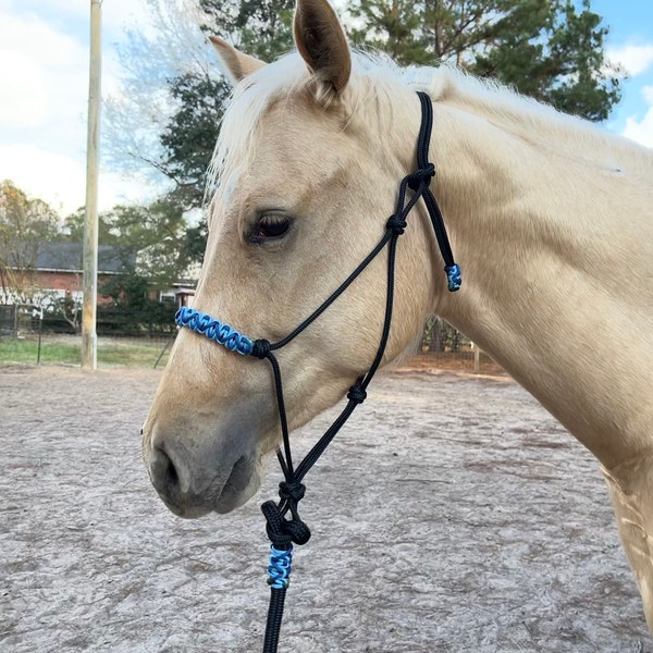 Custom Rope Halter With Matching 10' Lead Rope - Etsy