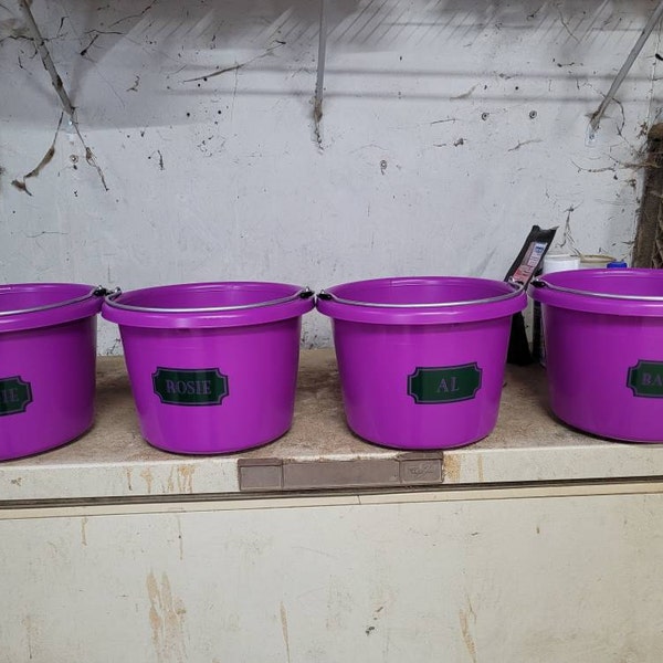 Horse Bucket Name Decals: Custom Vinyl Labels (2x4) - Etsy