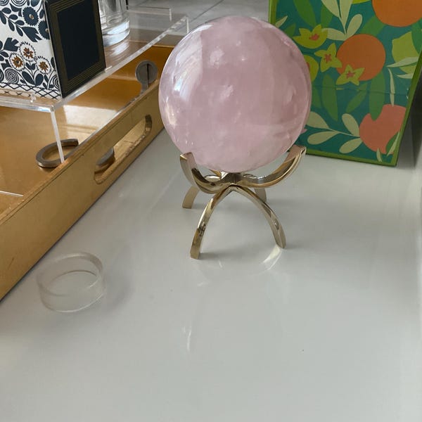 Starter Podocarpus Macrophyllus Maki Tree Outdoor Plant Landscape Live ...