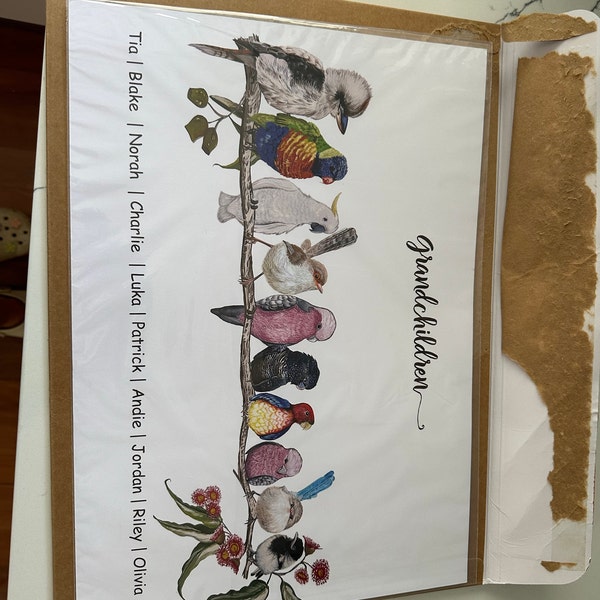 Australian Native Bird Print Kookaburra Black Cockatoo Rainbow Lorikeet ...