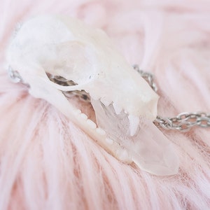 Real Bat Skull Quartz Crystal Point Oddities Necklace - Etsy