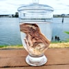 Petrified/mummified/preserved Fetal Piglet - Etsy