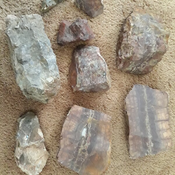 Eagle Rock Moss Plume Agate Red Jasper Rhyolite Rough Rocks for Slab ...