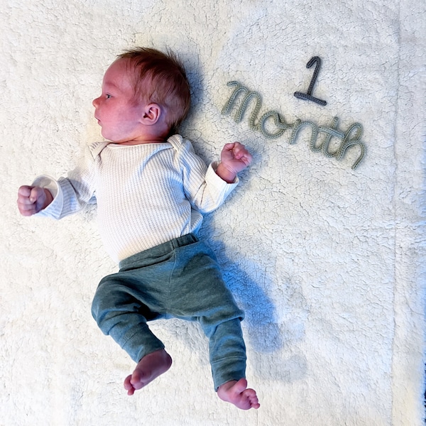 Baby Milestone Numbers Set (months, Numbers Only Not Including Days ...