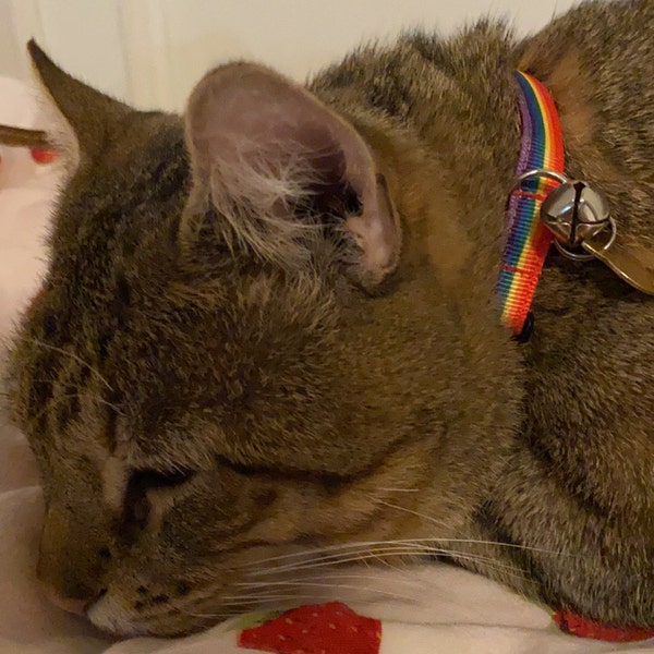 The Rainbow Breakaway Cat Collar - Etsy