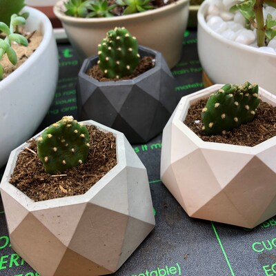 Geodesic Mini Pot Succulent Planter Geometric Concrete - Etsy