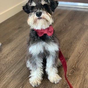 Choose Your Color Suspender & Bow Tie Set Men's Bow Tie | Etsy