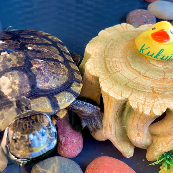 Personalized Name Yellow Themed Rubber Duck Ducks - Custom Color ...