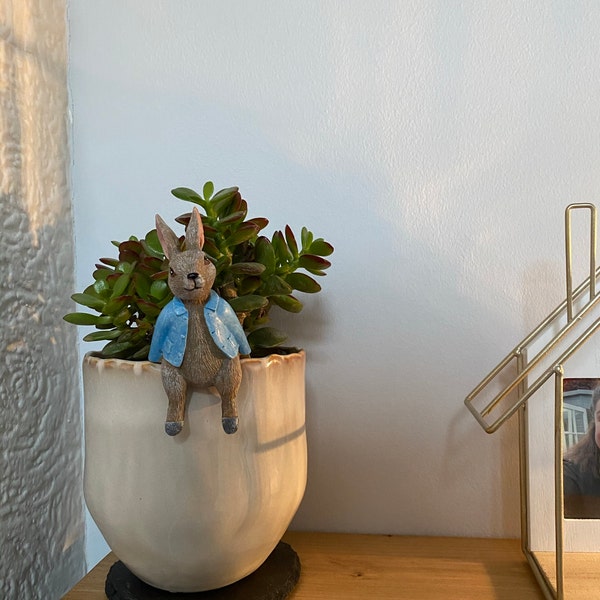 Peter Rabbit Pot Buddy Pot Hanger - Beatrix Potter - Gift Boxed Pot ...